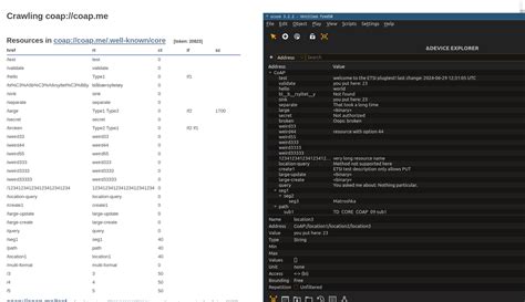CoAP Device Score Documentation