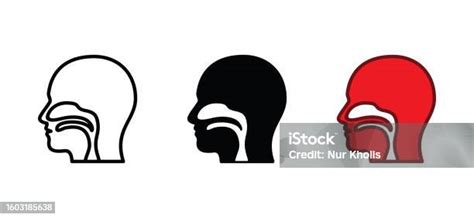 목구멍 아이콘 벡터입니다 인두 식도 장기 아이콘은 선과 평면 스타일의 상징입니다 의료 관리 아이콘 벡터 건강 진단에 대한 스톡 벡터 아트 및 기타 이미지 Istock