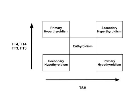 Secondary Hyperthyroidism Examples At Nicole Humphreys Blog