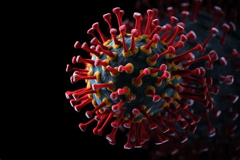 生物细胞素材 生物细胞模板 生物细胞图片免费下载 设图网