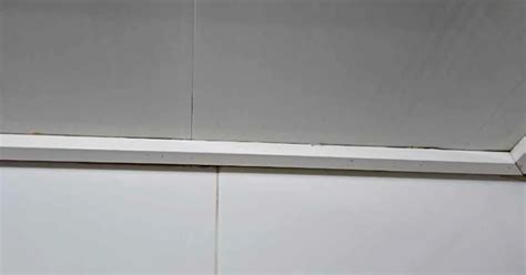 이사청소 진행했습니다 약속한 시간에 오셔서 꼼꼼하게 청소해 주셨어요 그리고 친정하셨습니다 숨고 숨은고수