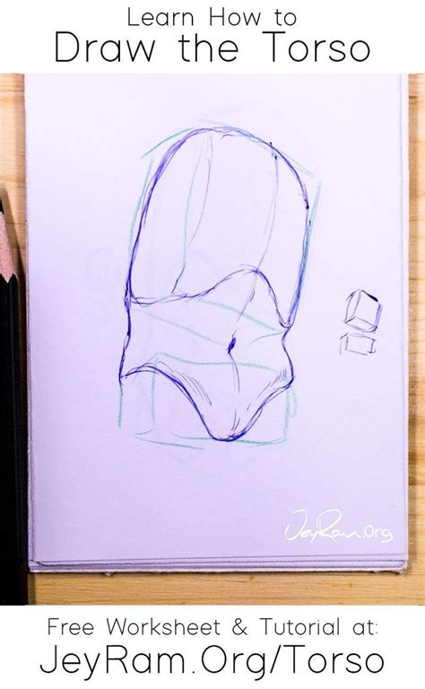 How To Draw The Torso Free Worksheet Video Tutorial Drawing Tutorial Torso Sketch Book