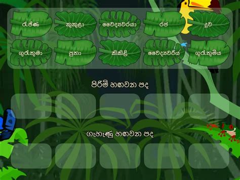 ගැහැණු පිරිමි හඟවන පද වෙන් කරමු Group Sort