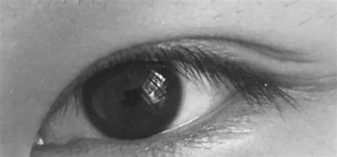 你們的桃花眼足夠標準嗎？ 每日頭條