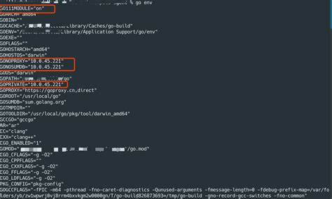 Golang Private Lab A Gopher‘s And Pythons Home