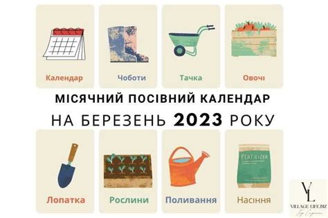 Найкращий посівний календар на березень оптимальна посадкова таблиця для високого врожаю