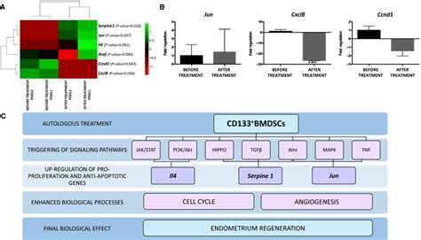 Comparison Of Endometrial Gene Expression Profile Before After Download Scientific Diagram