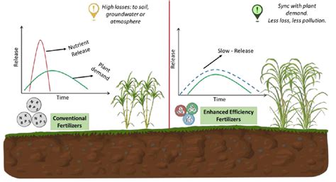 Comparison Diagram Between Conventional Fertilizers And Slow Release