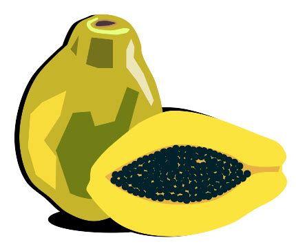 Svg Corel Draw X7 Cannot Render CorelDRAW Graphics Suite X7 CorelDRAW Graphics Suite X7