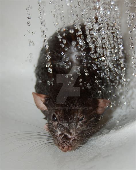 Bathtime By Doryjustkeepswimming On Deviantart Bathtime By Doryjustkeepswimming On Deviantart