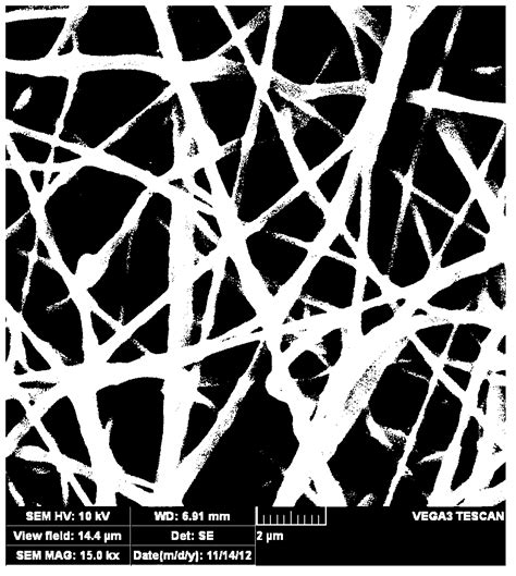 Bionic Three Dimensional Tissue Engineering Scaffold And Preparation Method Thereof Eureka