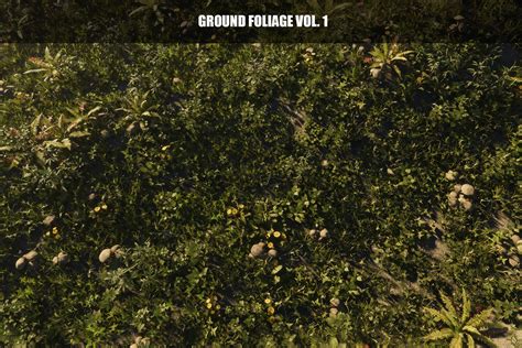 Ground Foliage Vol 1 3d Plants Unity Asset Store
