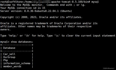 将写的项目部署到linux服务器上前端部署到linux Csdn博客