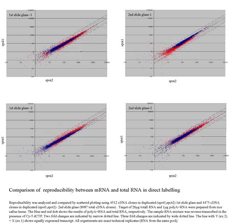 Rice Microarray Opening Site