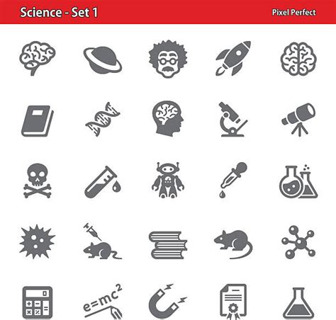 330 Dead Rat Stock Illustrations Royalty Free Vector Graphics And Clip