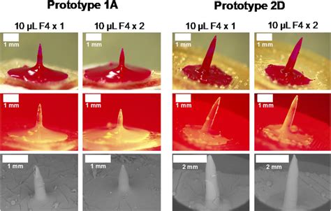 Coated Hydrogel Forming Needles Prototypes 1a And 2d Using 10 μl F4 Download Scientific