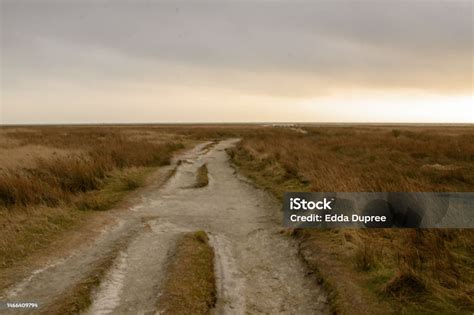 성 베드로 오르딩의 소금 습지를 통과하는 길 그들은 육지와 바다 사이의 자연스러운 전환이며 조류와 거의 2000 종의 곤충과 딱정벌레를위한 엄격하게 보호 된 서식지입니다 0