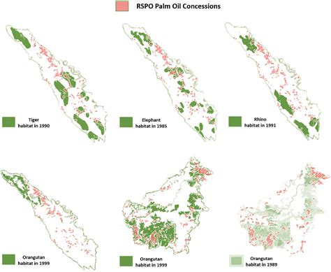 Palm Oil Deforestation Map