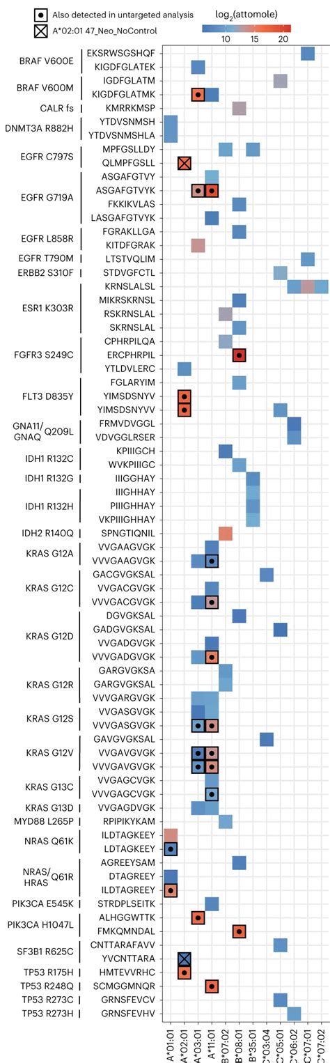 Hierarchical Composition Analysis Treemaps In Data Structure Visualization Plottie