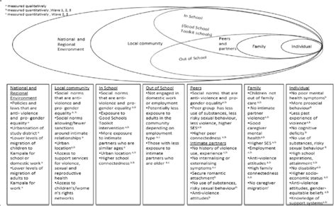 Eco Social Theoretical Framing With Protective Factors Against Later