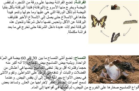 موقع مراجعة التكاثرعندالحيواناتالبيوضة