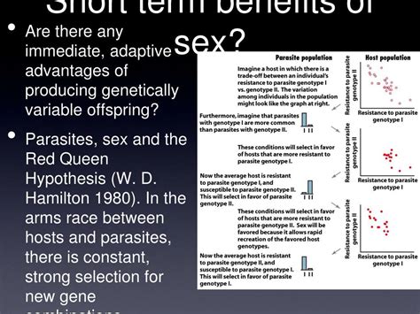 Ppt What Is Sex Powerpoint Presentation Free Download Id 5656007