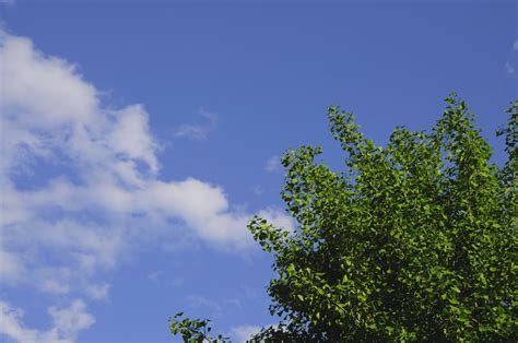 春風のいざない GANREF