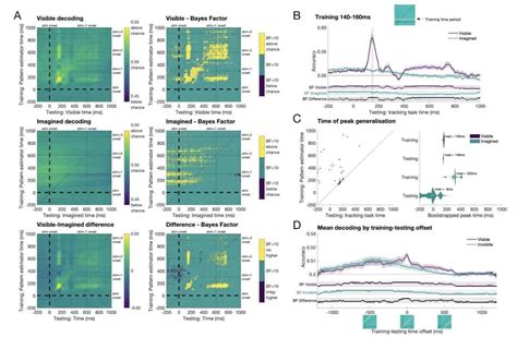 Overlapping Neural Representations For The Position Of Visible And