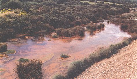 Inorganic Water Pollution