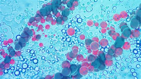 Premium Photo Molecules Of A Chemical Cellular Level In The Body