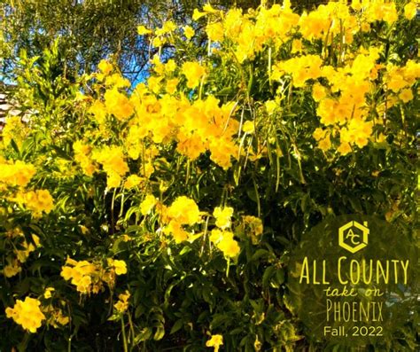 Colr Scott Glascock Mpm® Rmp® On Linkedin Phoenixphotography Takeonphoenix Arizonahighways