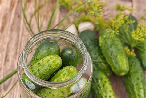 Recette Conserve De Cornichons Au Vinaigre Marie Claire