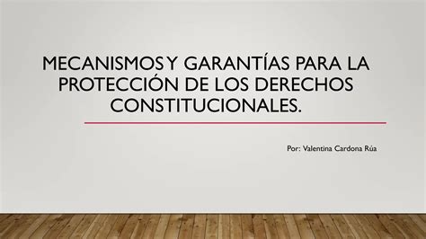 Mecanismos Y Garantias Para La Proteccion De Derechos Constitucionales