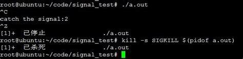 Linux C实践1:不可忽略或捕捉的信号—sigstop和sigkill Csdn博客 Linux C实践1:不可忽略或捕捉的信号—sigstop和sigkill Csdn博客