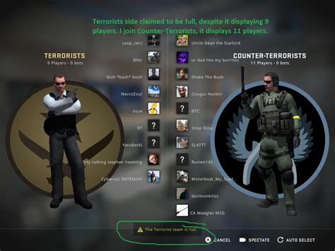 Panorama Team Select Menu Player Numbers Misrepresentation July 27th