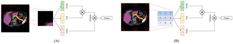cctrans improving medical image segmentation with contoured