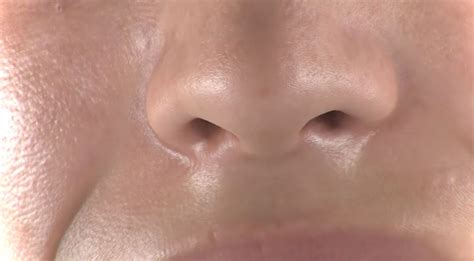 Synthesizing The Effects Of Skin Microstructure Deformation In 3d Lesterbanks