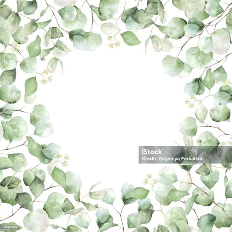 녹색 가지와 유칼립투스 잎으로 만든 둥근 프레임 유칼립투스의 화환 손으로 그린 그림입니다 청첩장 엽서 디자인 및 문구류 갈란드