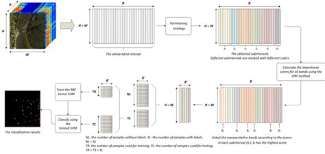 Structure Of The Proposed Model For Hsi Dimensionality Reduction Download Scientific Diagram