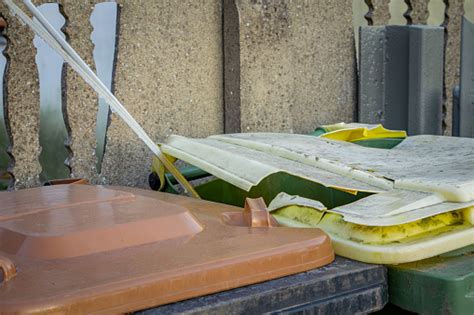 깨진 뚜껑 혼합 쓰레기를 위한 플라스틱 통을 닫습니다 파손된 플라스틱 쓰레기통 콘크리트 울타리 옆에 서 있는 쓰레기통에서