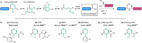 Thioester Functional Group A Straightforward Method For Automated