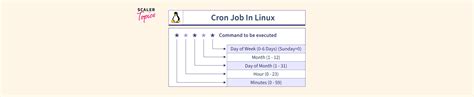 Cron Job In Linux Scaler Topics
