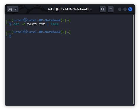 How To Use Cat Command In Linux With Examples Beebom