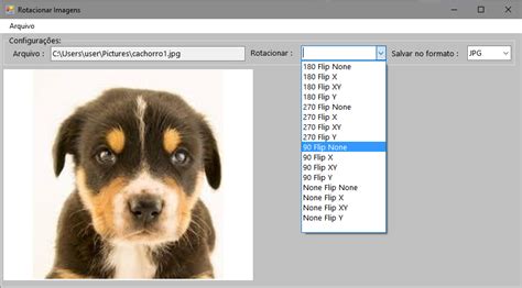 C Rotacionando Imagens
