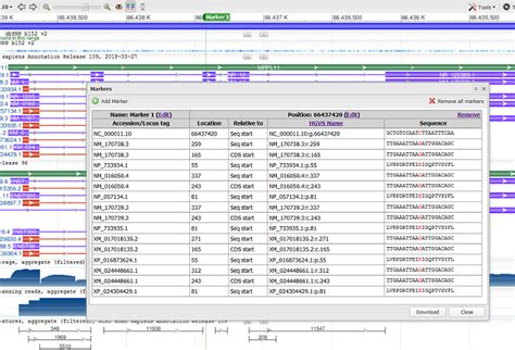 Sequence Markers