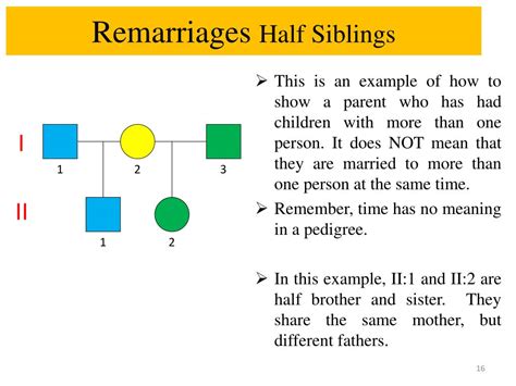 Ppt Pedigree Analysis One Powerpoint Presentation Free Download Id