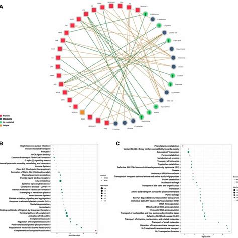 Integrated Knowledge Statistical Omics Based Network A Integrated Download Scientific