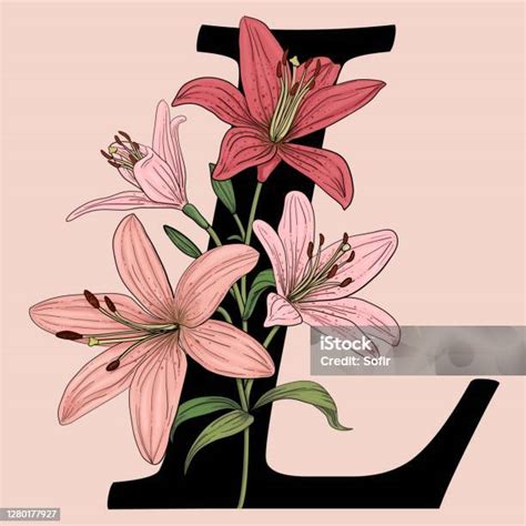 핑크 백합 꽃 문자 L 벡터 로고 모노그램 알파벳 L에 대한 스톡 벡터 아트 및 기타 이미지 알파벳 L 화려한 꽃 식물 Istock