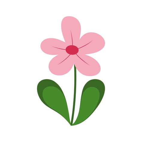 Pink Flowers And Green Leaf 23799276 Png