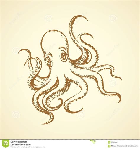Octopus Vector Drawing